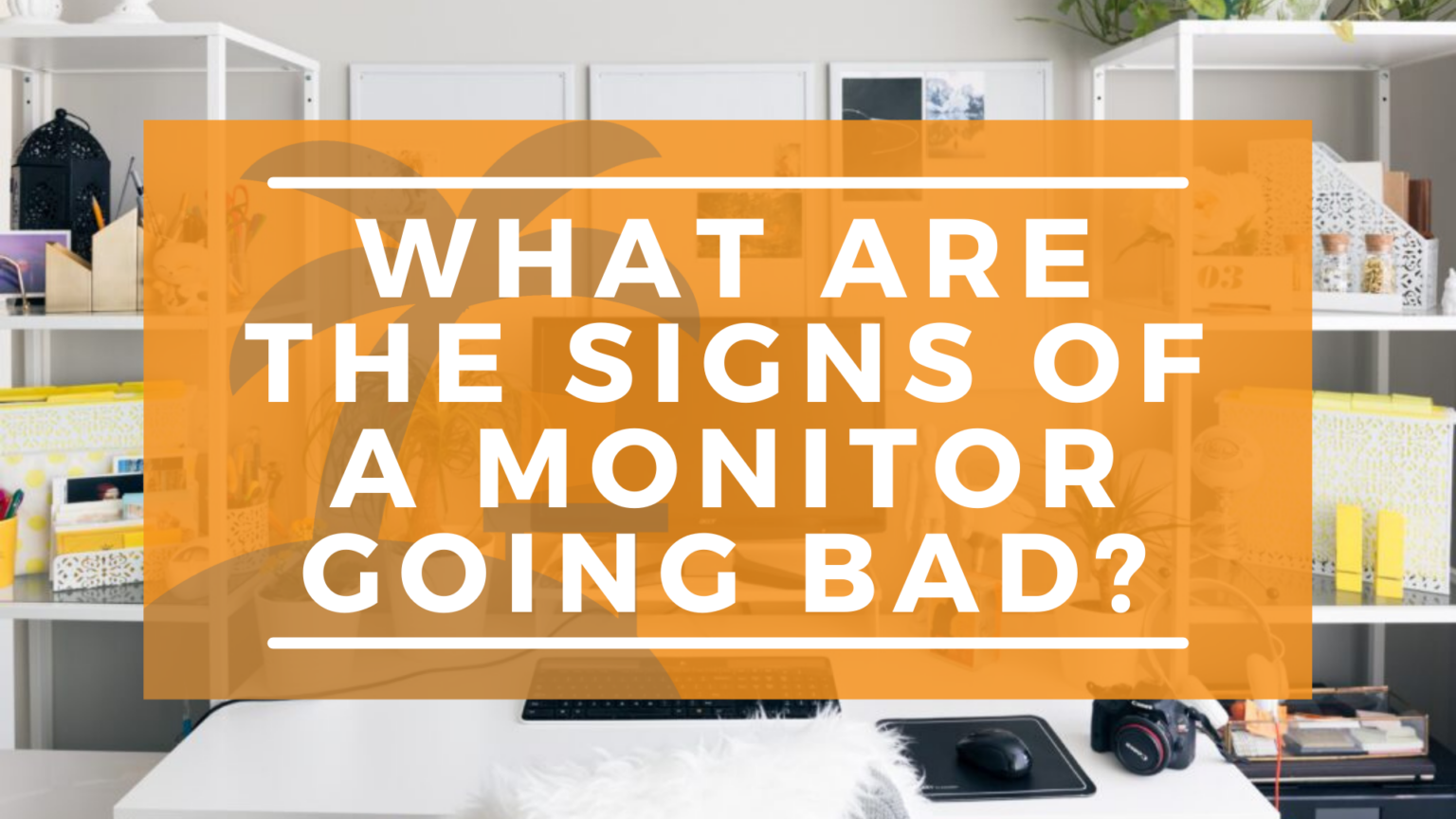 TOP 7 Signs Of A Failing Monitor | wanderingoffice.com