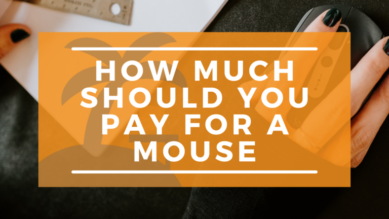 How Much Does A Mouse Cost For Your Computer or Laptop